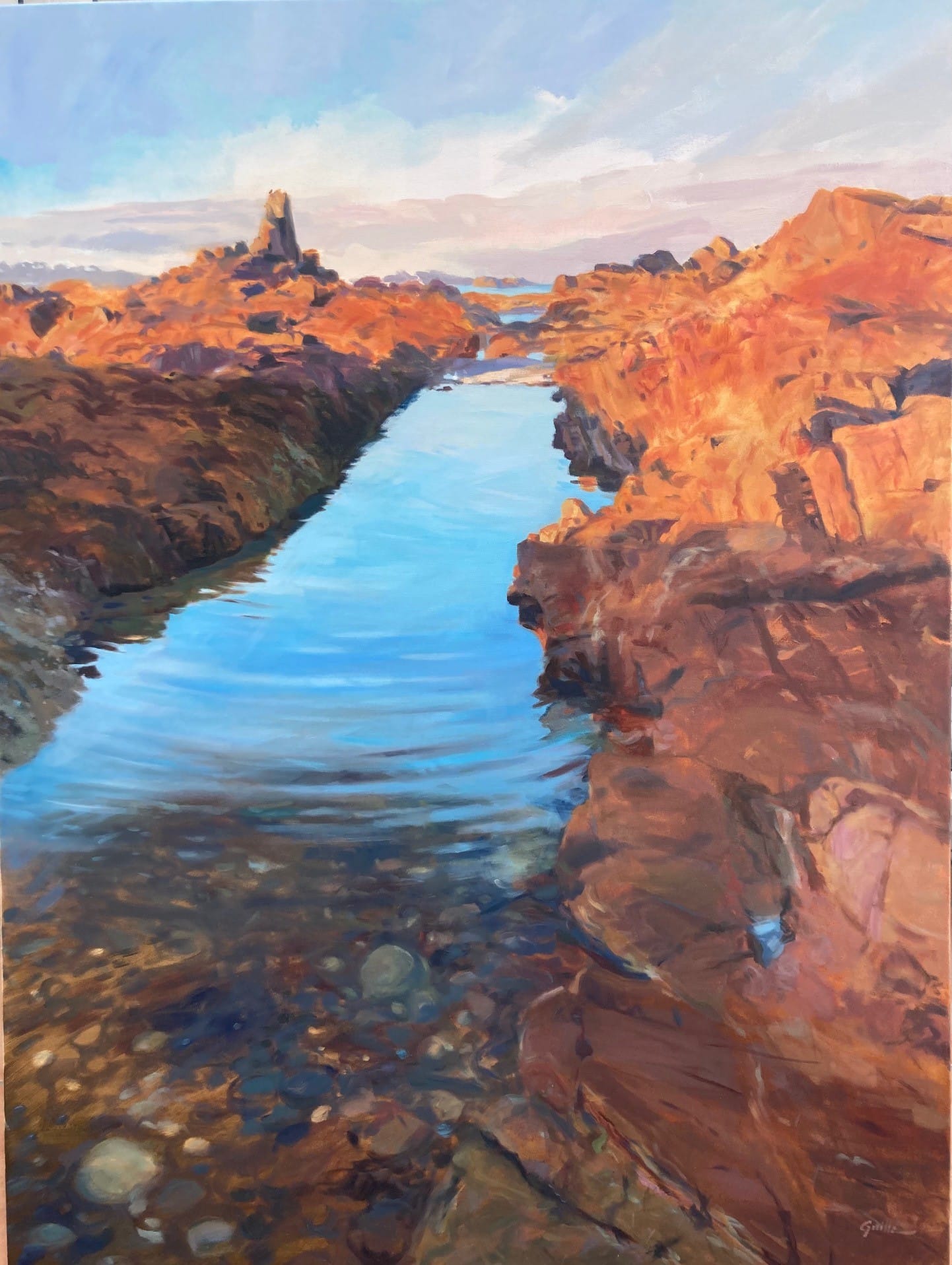 Tidal Pool at Long Rock - Sold - Rosanne Guille